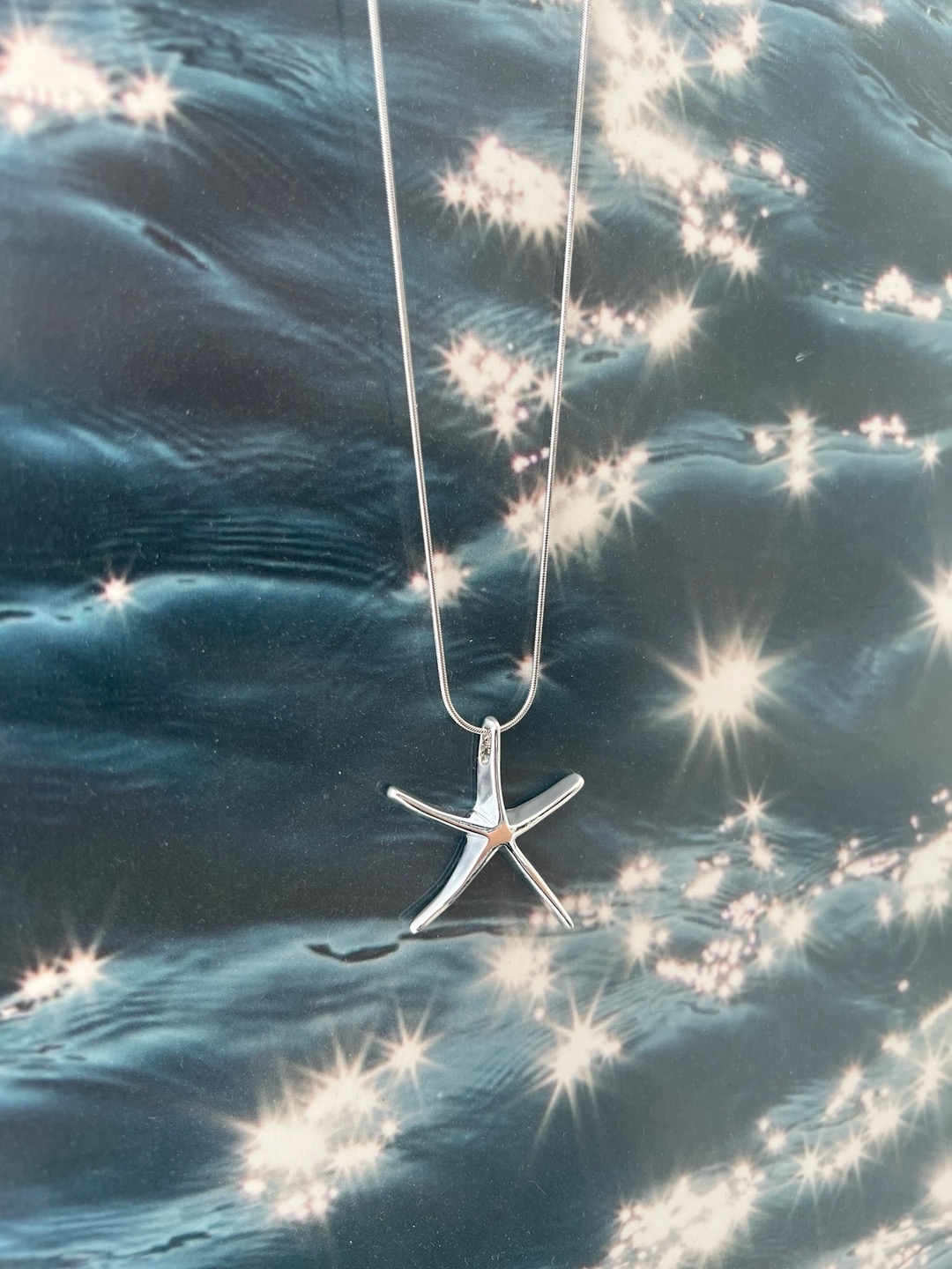 [Surgical] Starfish chain necklace / 써지컬스틸 불가사리 체인 목걸이 - 에이블리
